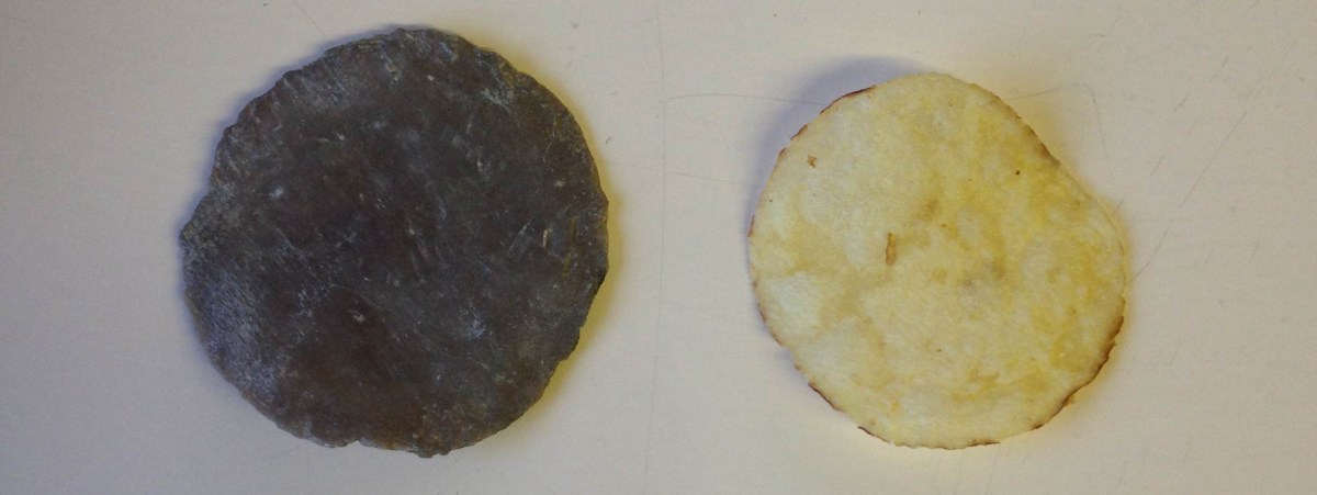 What are forams and why are they useful? – GoldGeo